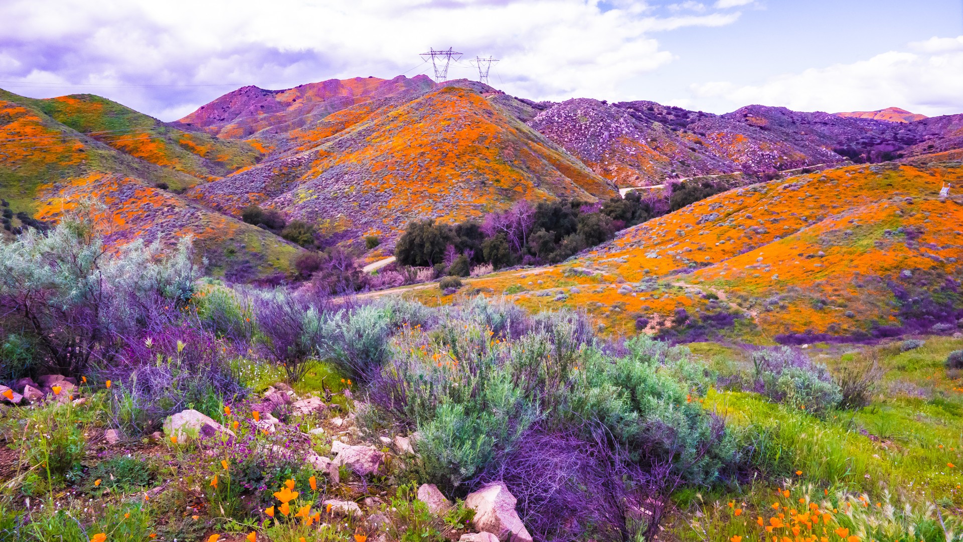 Slike za ozadje - Kako spremeniti ozadje?