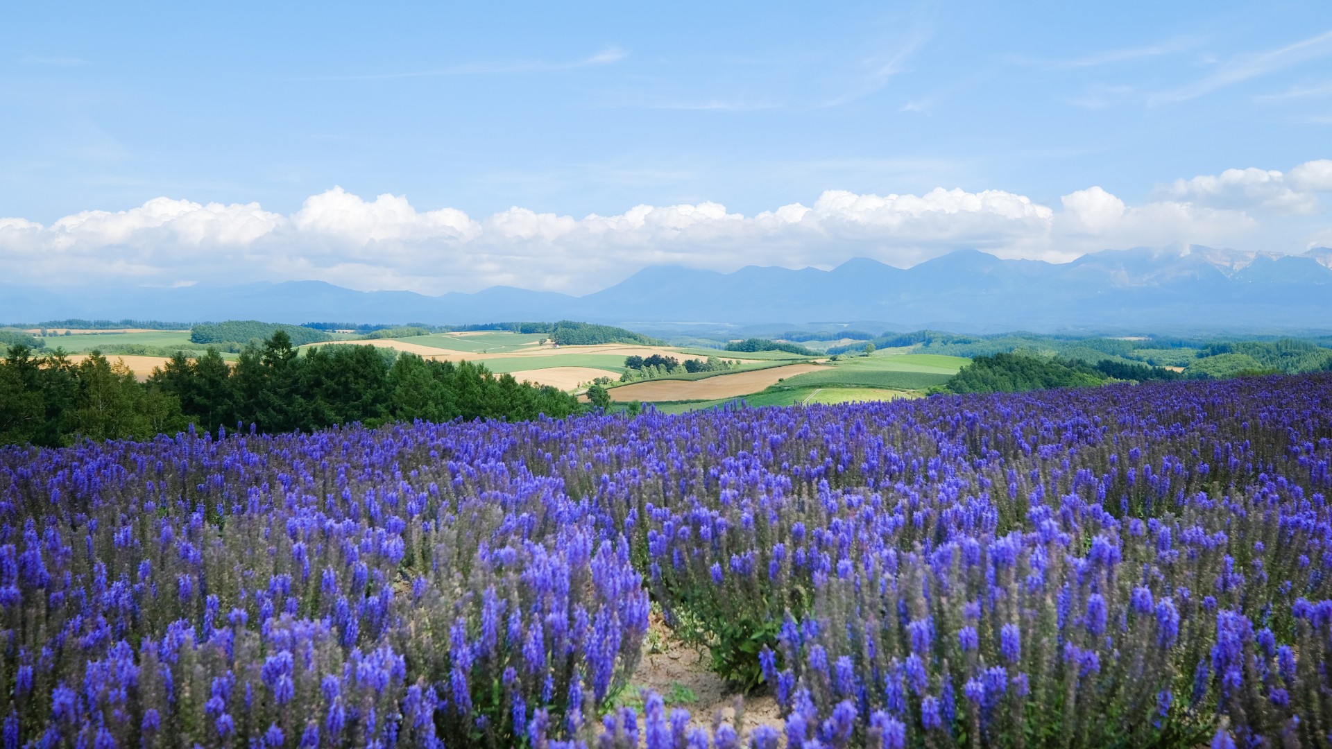 Slike za ozadje - Kako spremeniti ozadje?